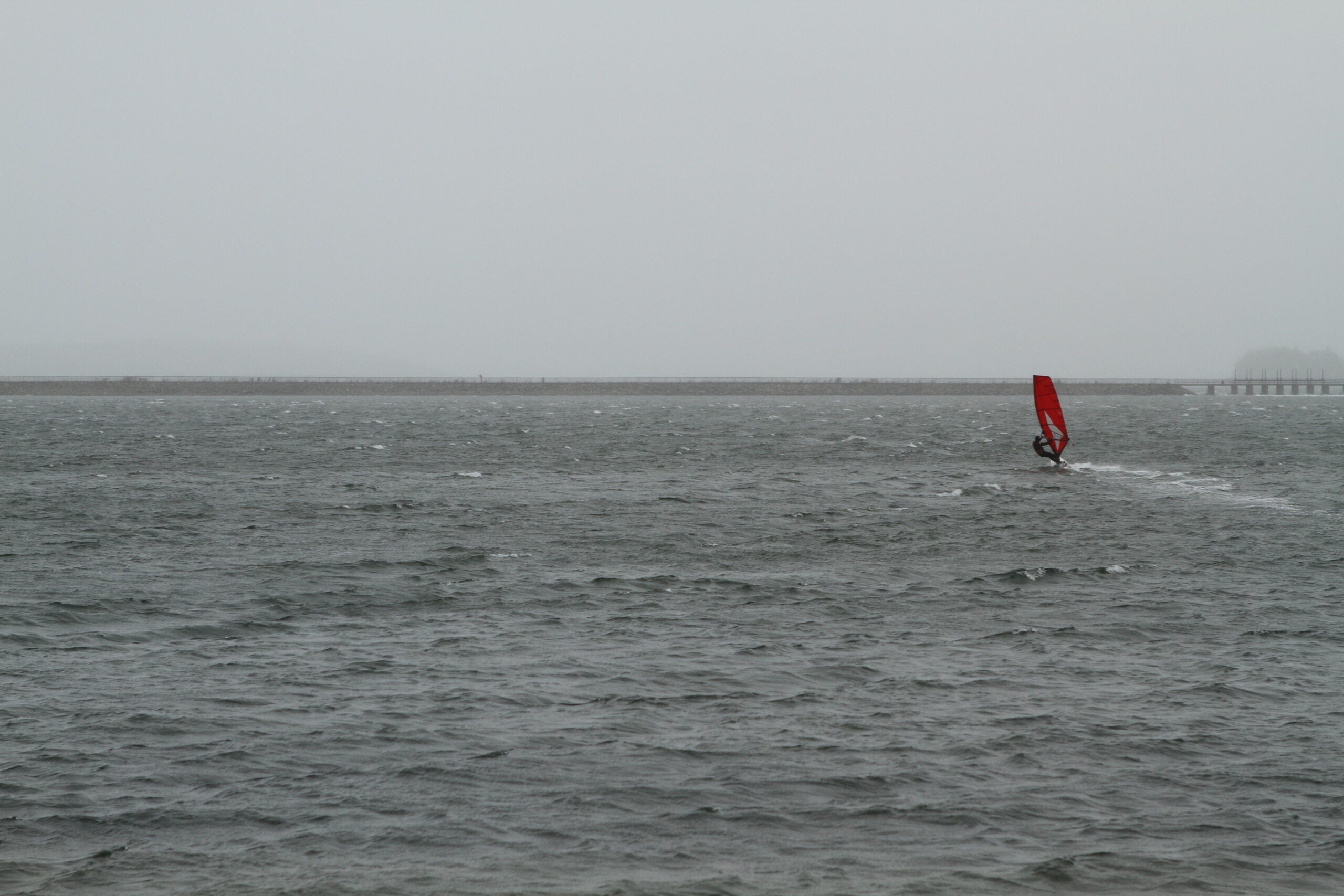 Scenes from a hurricane in Boston: In Eastie, a tree falls into a house ...