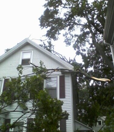 In Dorchester, a tree branch slices through a roof, stunning two ...