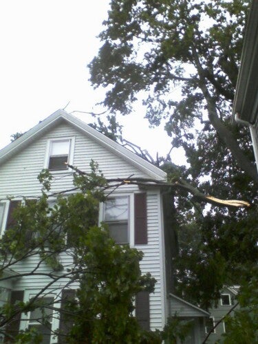In Dorchester, a tree branch slices through a roof, stunning two ...