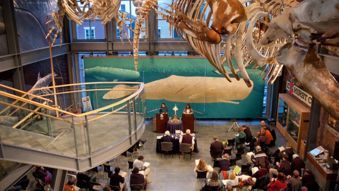 New Bedford Whaling Museum hosts 23rd annual Moby Dick read-a-thon