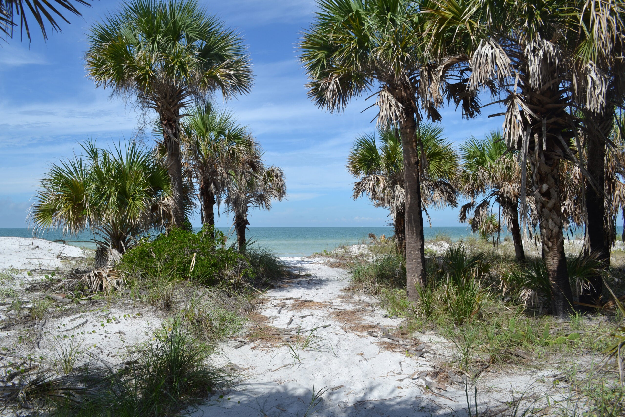 Exploring Caladesi Island, Florida