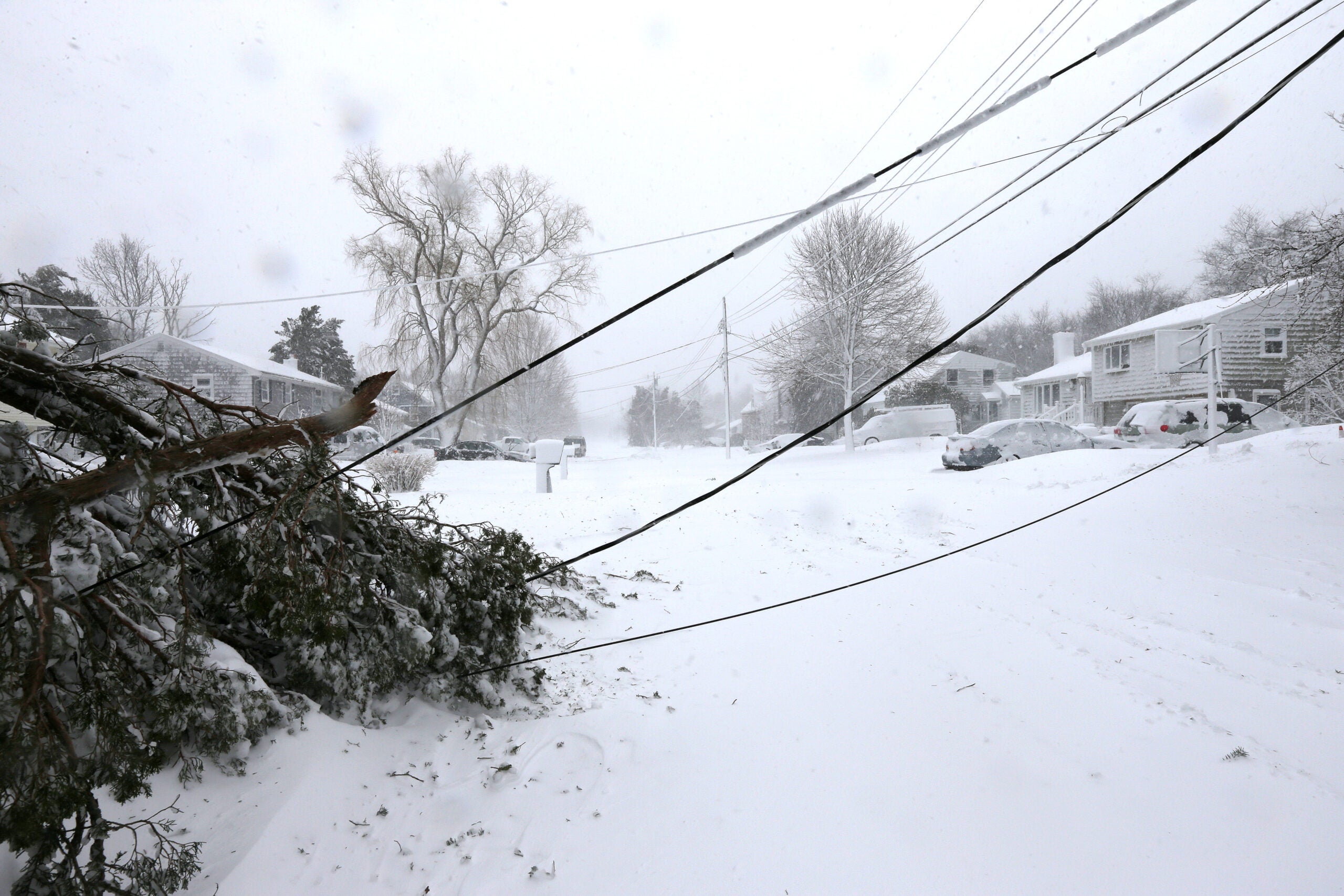 Much damage from the blizzard blamed on its high winds