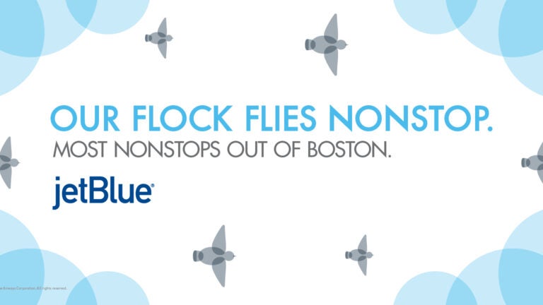 JetBlue’s pigeon ads are back for an encore