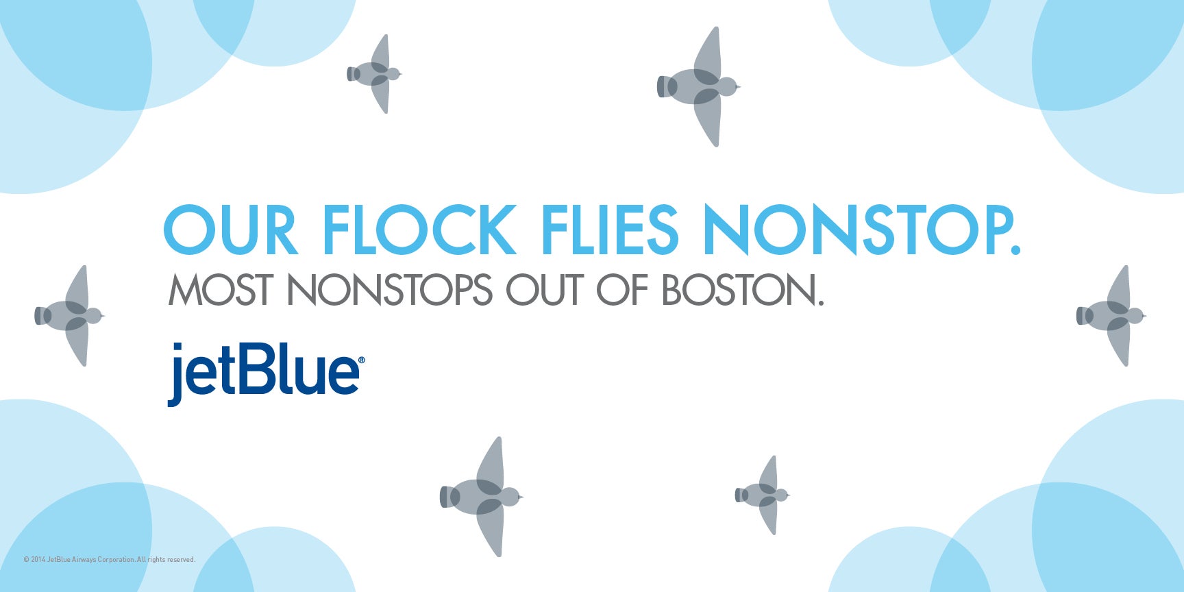 JetBlue’s pigeon ads are back for an encore