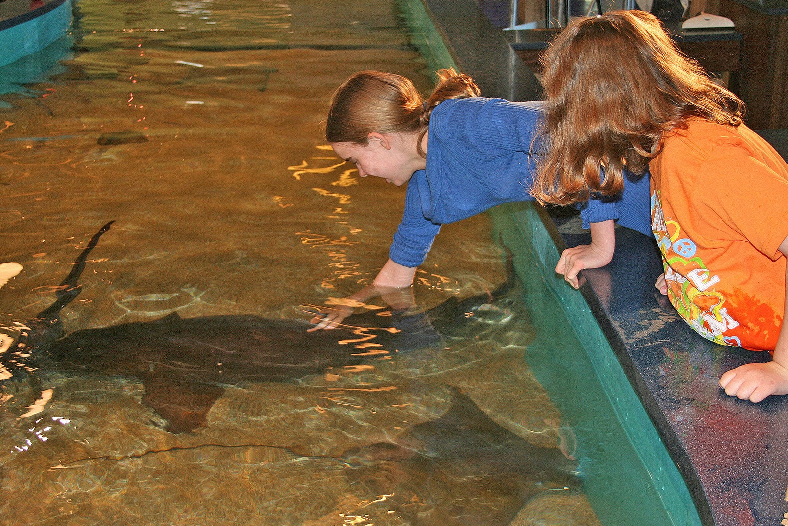 Maritime Aquarium, Norwalk, Conn.
