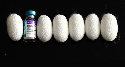 Harvard i-lab startup Vaxess using silk to preserve vaccines for ...