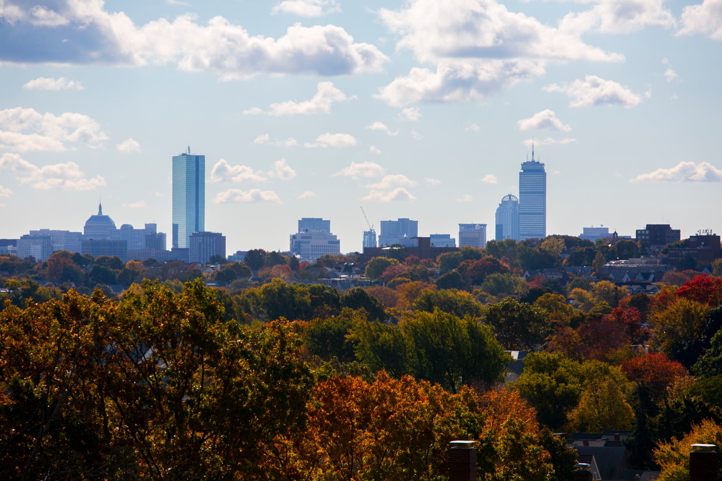 Five things that will help you survive the worst Tuesday of the year