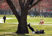 A guide to Boston's Freedom Trail