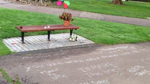 ‘Good Will Hunting’ Bench in Boston Public Garden Becomes Robin ...