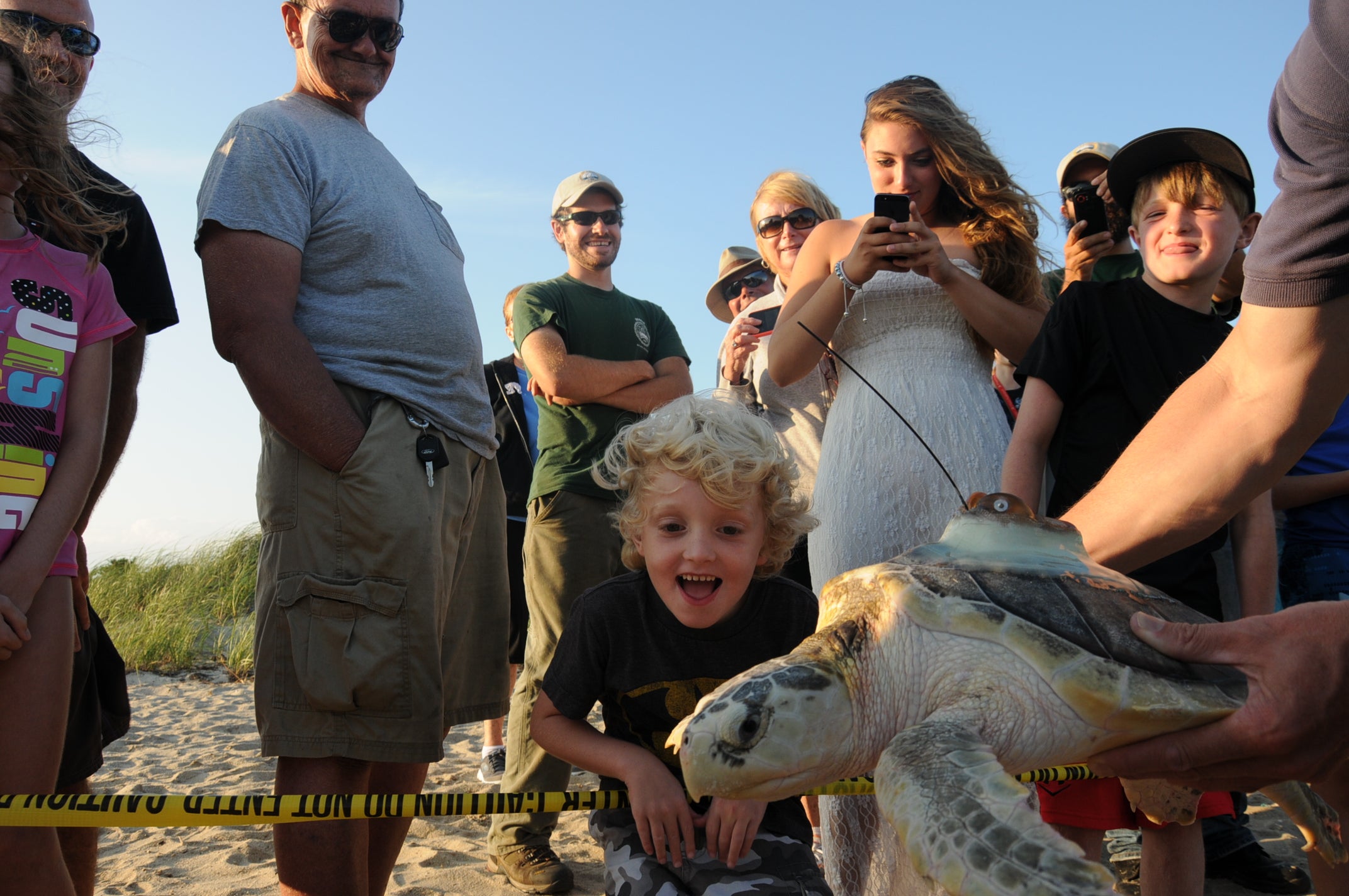 Endangered Sea Turtles Released off Cape Cod