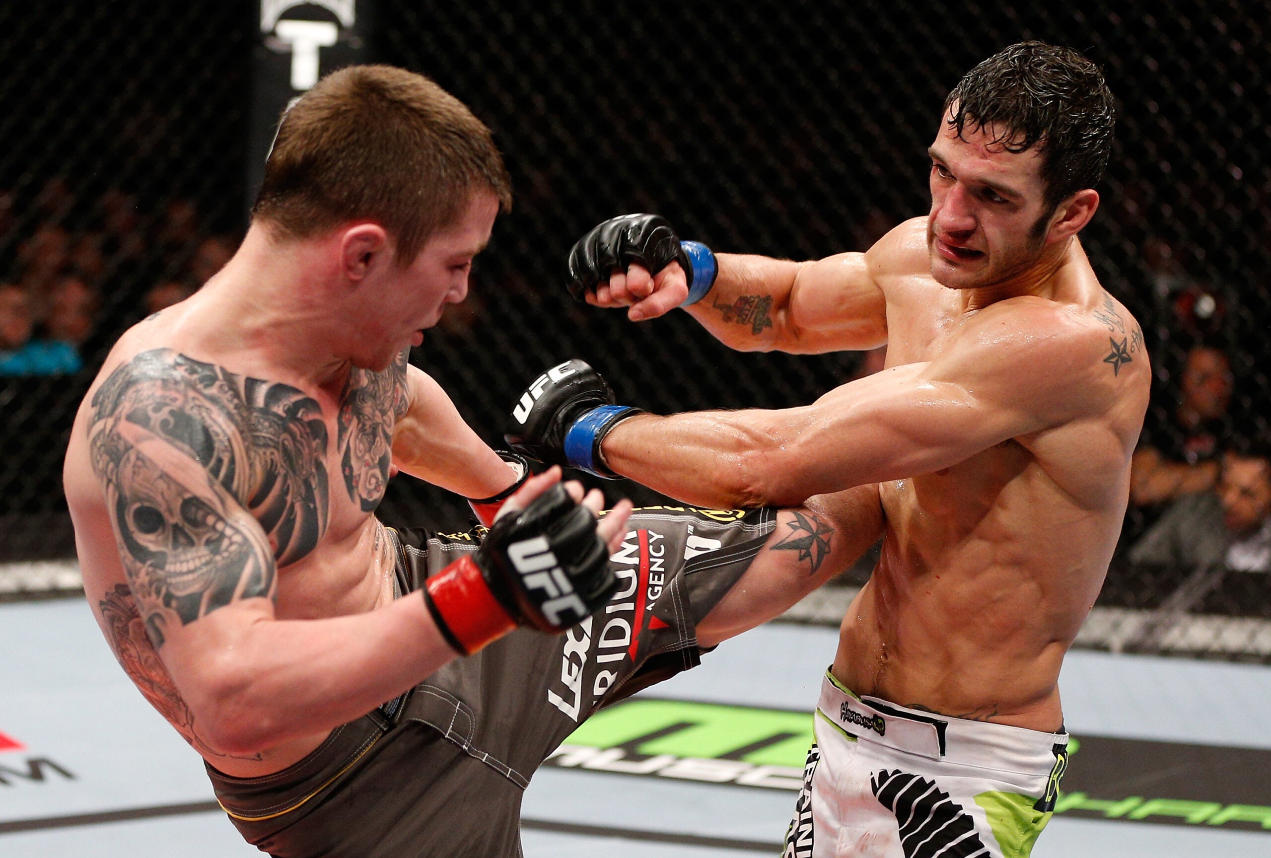 Middleborough Prosecutor: UFC Fighter Attacked Wife, Trained Dog to ...