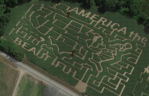 Pro Tips: How Not to Get Lost in a Corn Maze