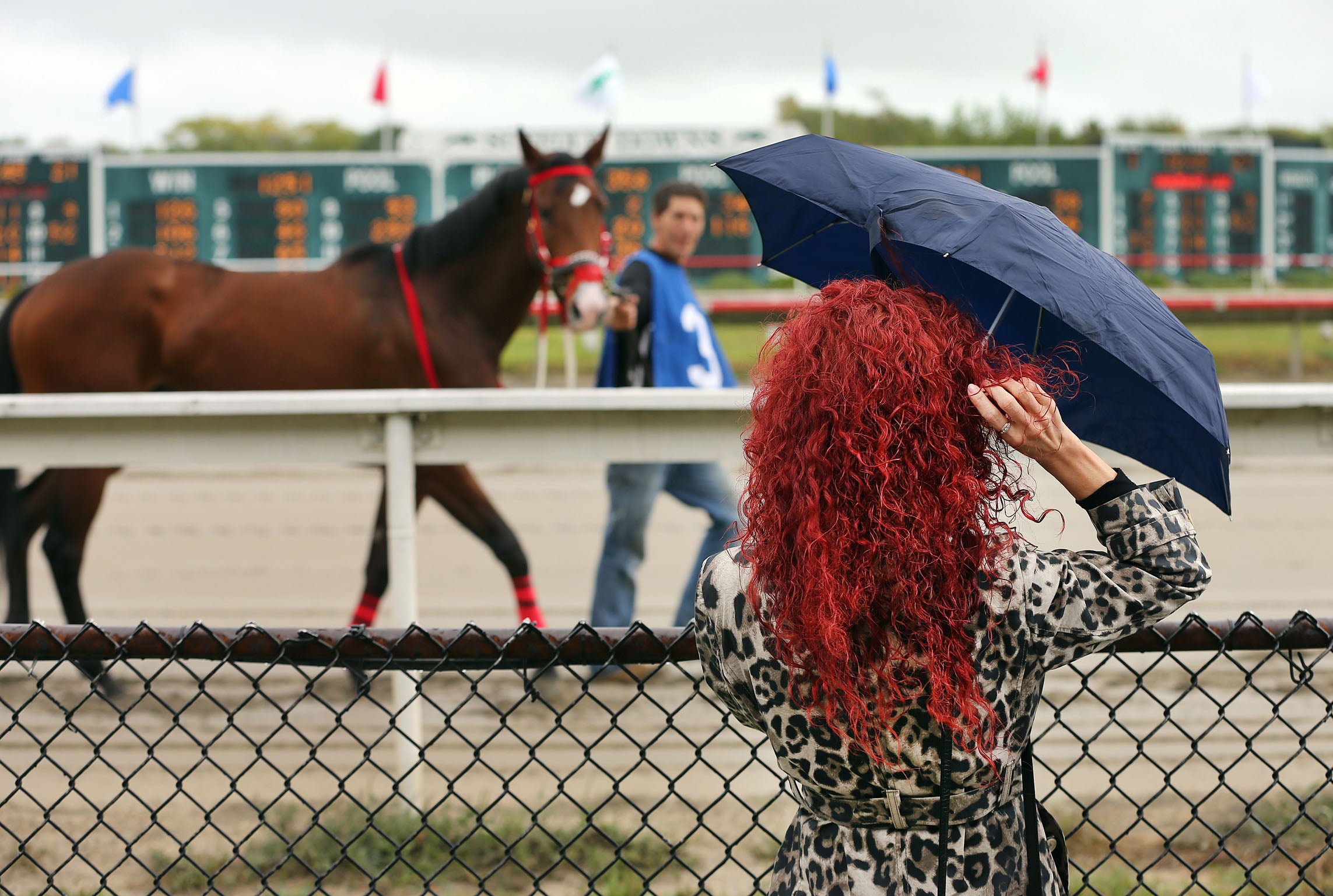 The Death of a Racetrack: How Suffolk Downs Could Have Saved Itself