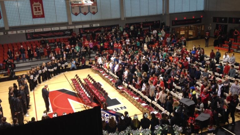 NCAA Tournament Brings Fuzzy Feelings Back to Northeastern Campus