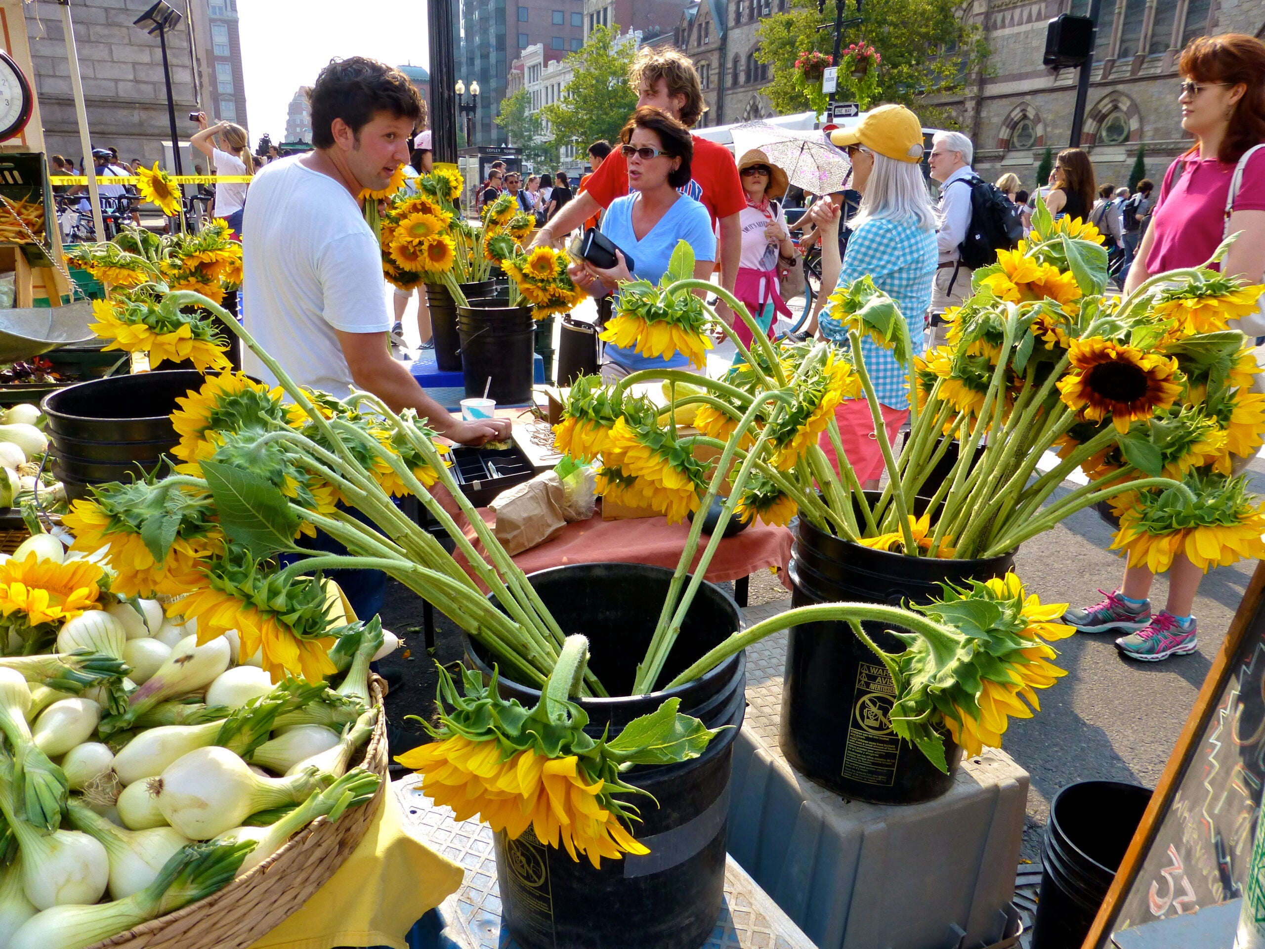Your Neighborhood-by-Neighborhood Guide to Farmers Market Season - News ...