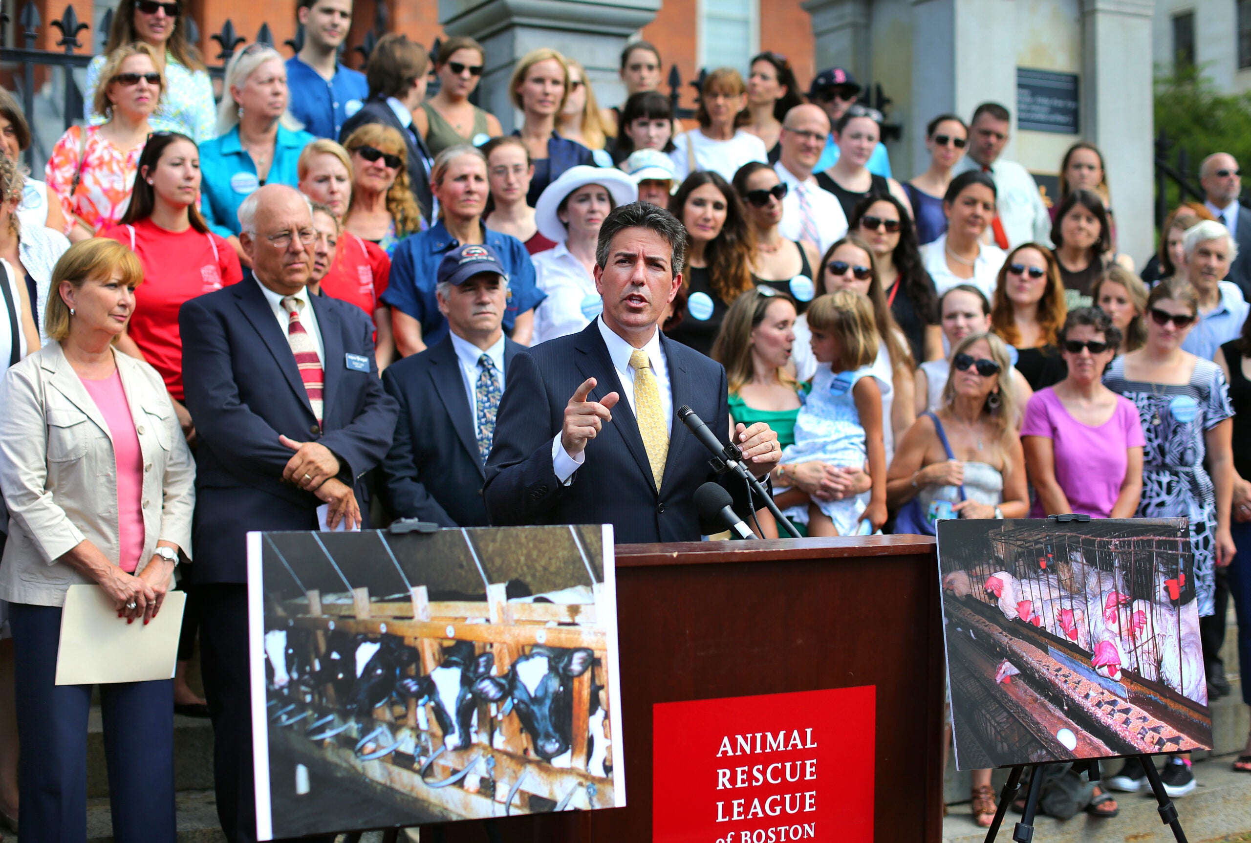 Ballot initiative would let farm animals roam