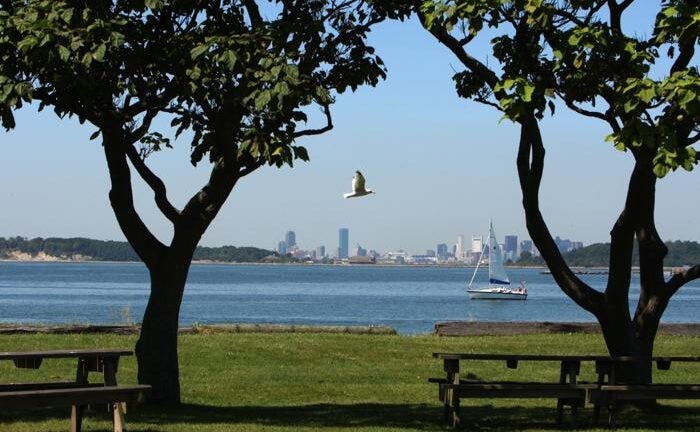 50 things to do this summer across Massachusetts