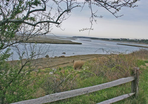 15 Cape Cod hiking destinations, one for every town