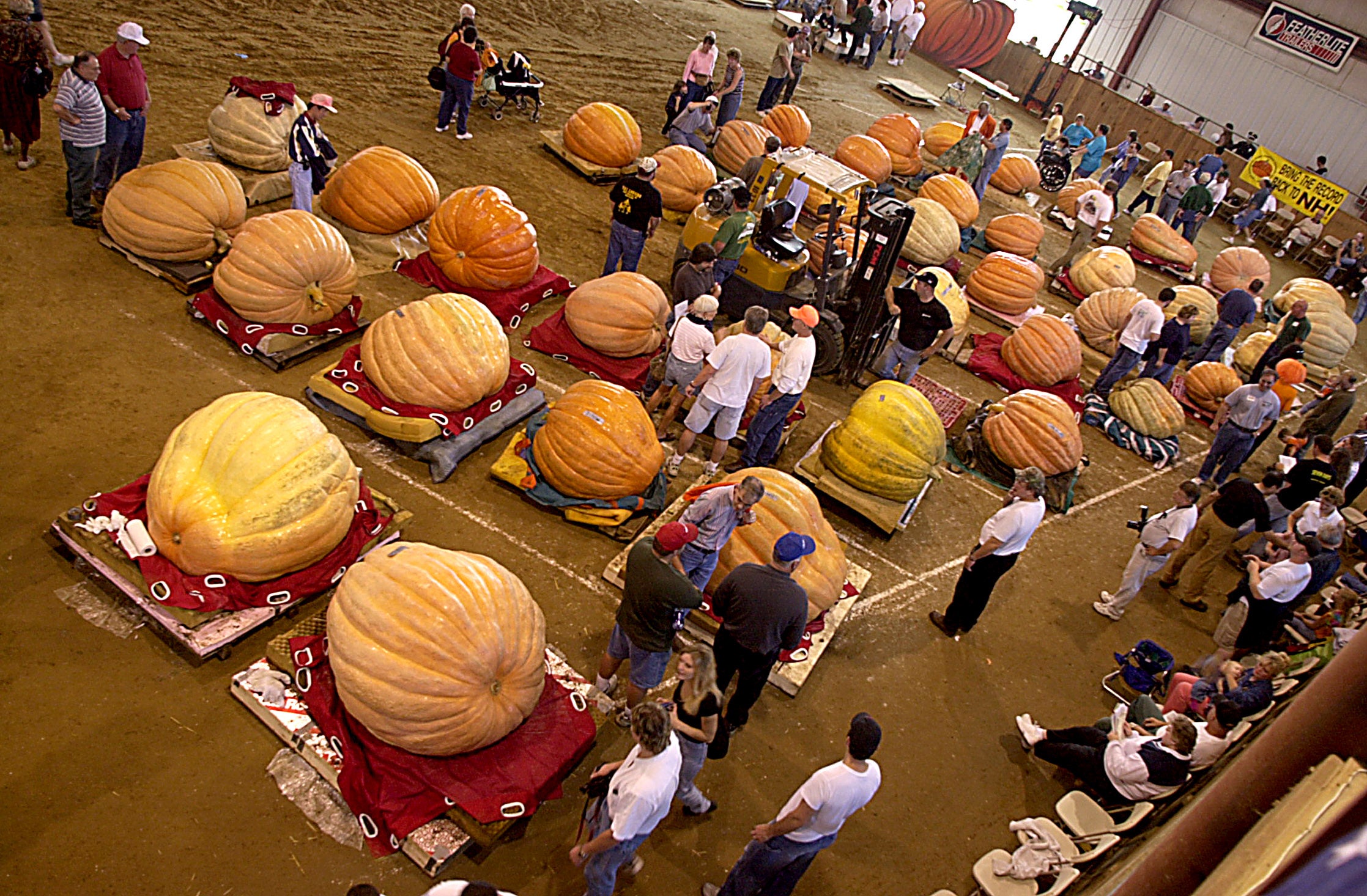 Meet the man who rode an 817-pound pumpkin down the Taunton River