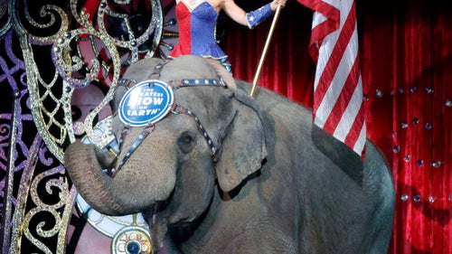 Elephants perform for final time at Ringling Bros.