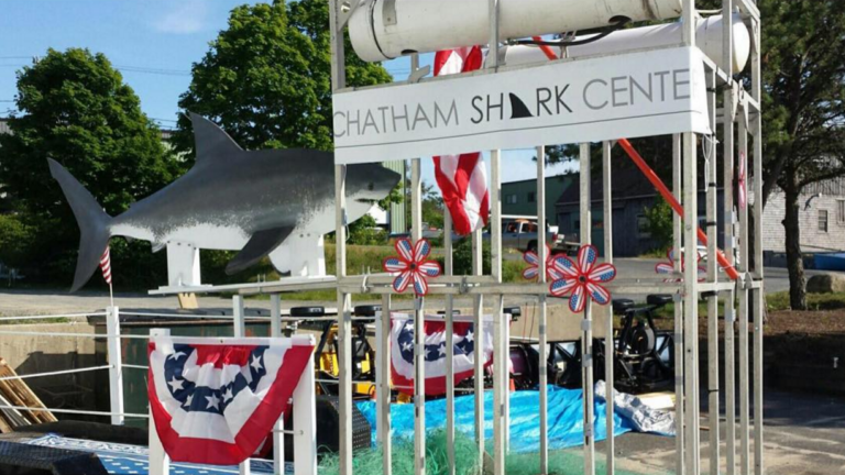 Newly renovated Chatham Shark Center opens on Cape Cod