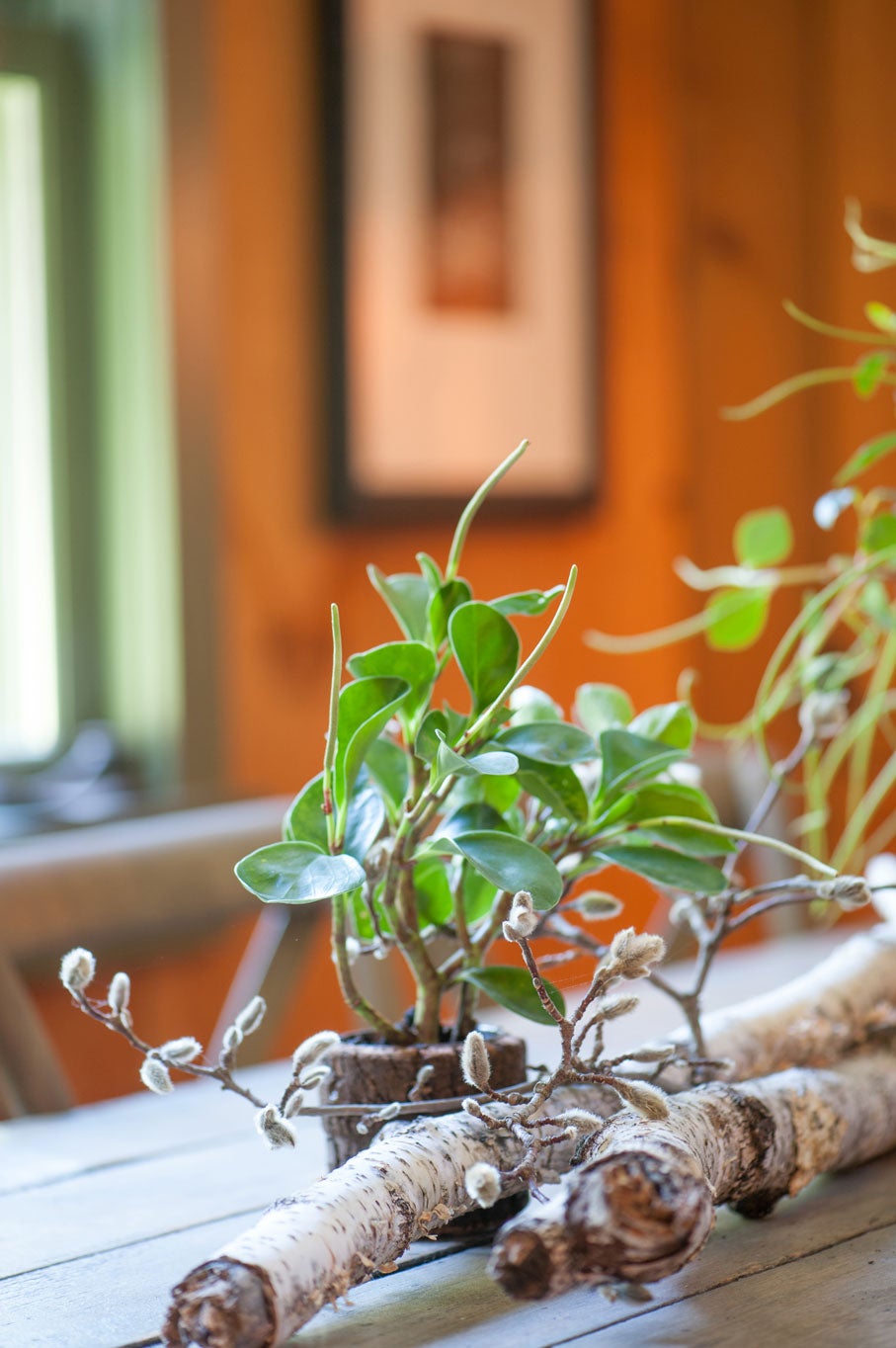 How two Connecticut craftsmen bring nature’s exuberance indoors