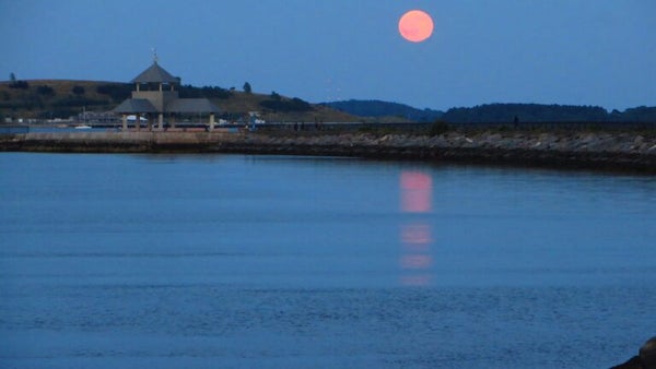 'Strawberry Moon' coincided with summer solstice for rare sky-high treat