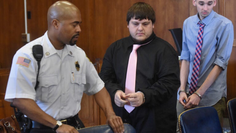 Pokemon players plead guilty to gun charges