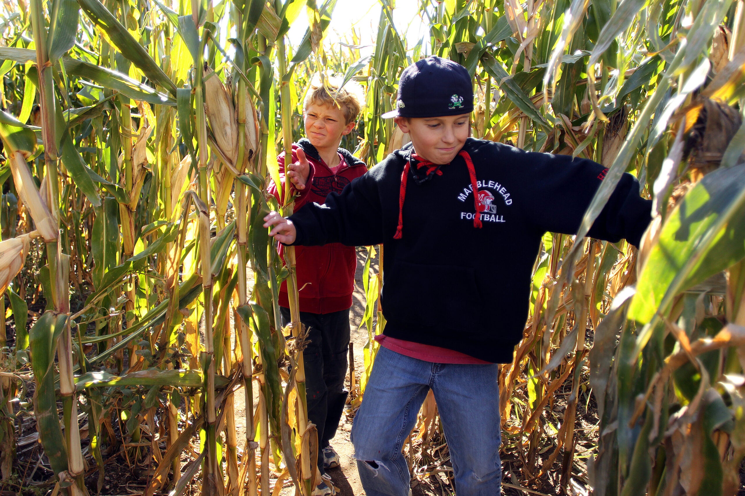 10 family-friendly activities to kick off the fall season