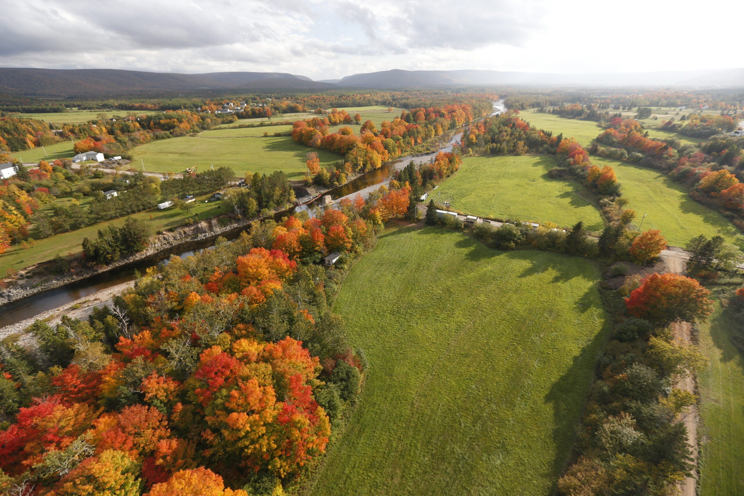 Here's Boston's 2016 Christmas tree—in its natural habitat