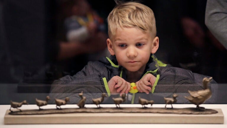 Museum celebrates Boston's favorite ducks with new exhibit