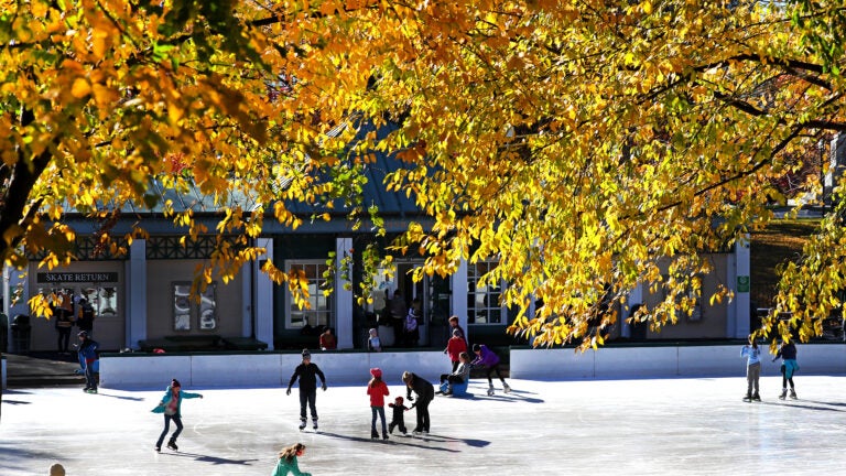 36 kid-friendly things to do in the Seaport, Brookline, and other ...