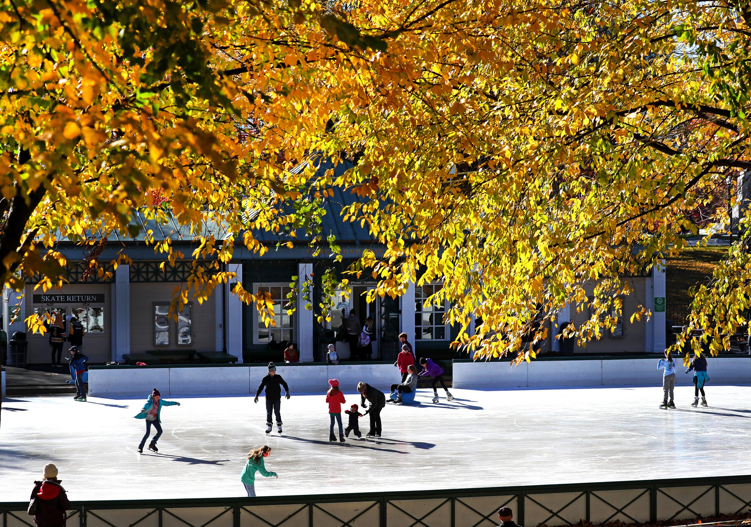 36 kid-friendly things to do in the Seaport, Brookline, and other ...