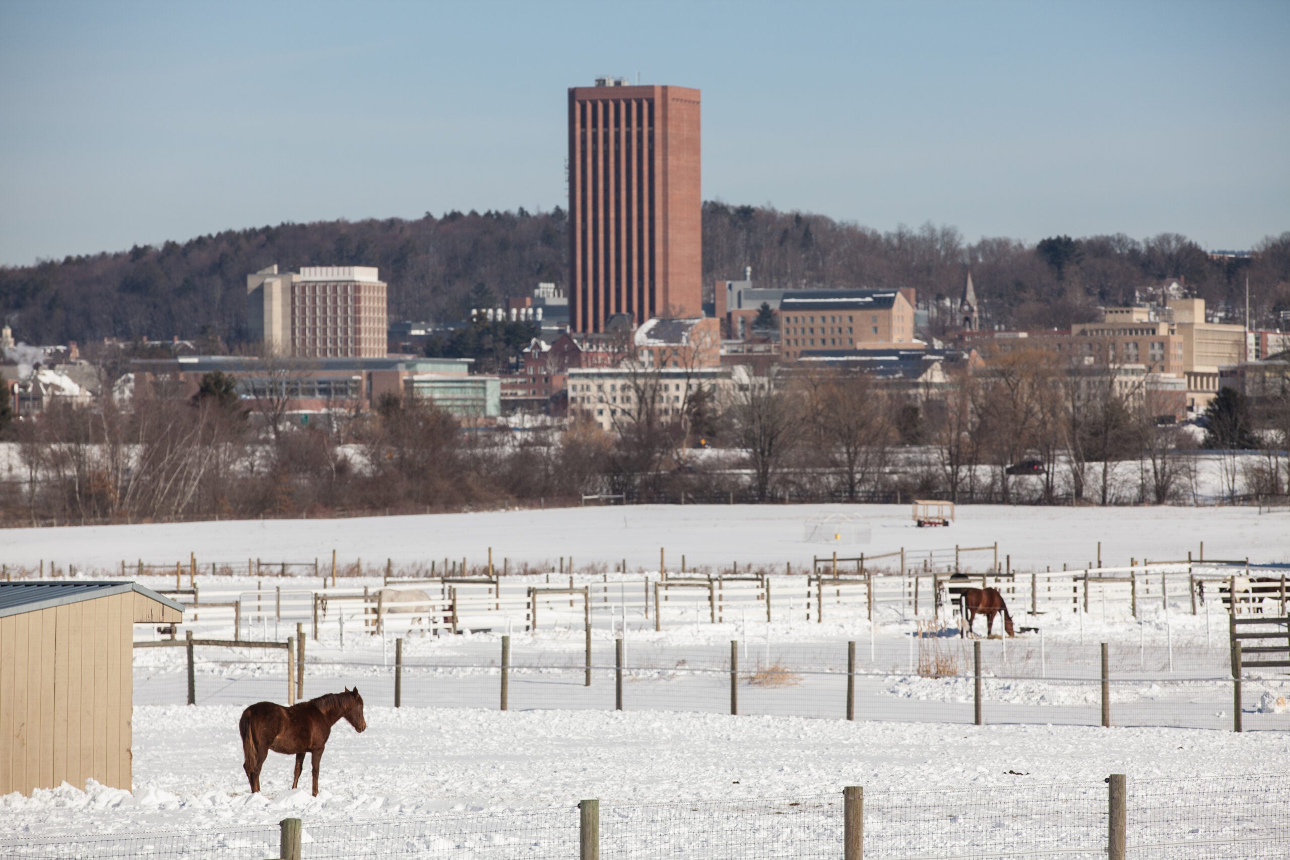 What is it like to live in Amherst? - Location, Location, Location ...