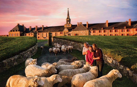 History & culture: Explore the past