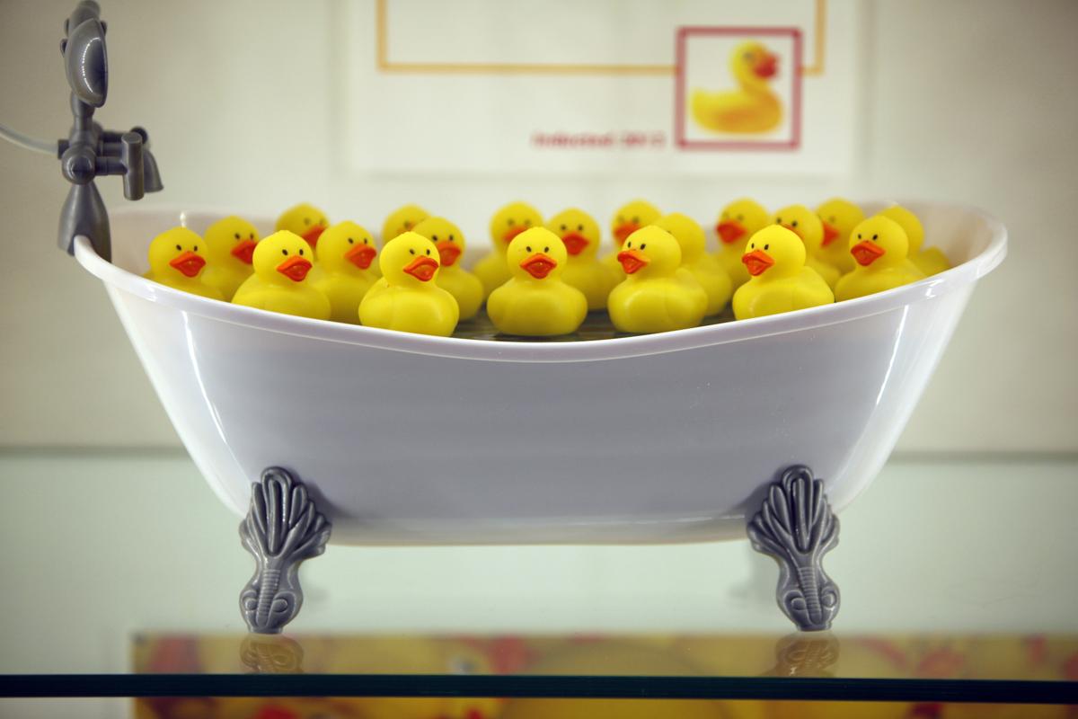 Pictures: Chess, rubber duck inducted into Toy Hall of Fame