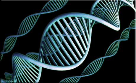 Cellceutix submits FDA application for Prurisol, a potential treatment ...