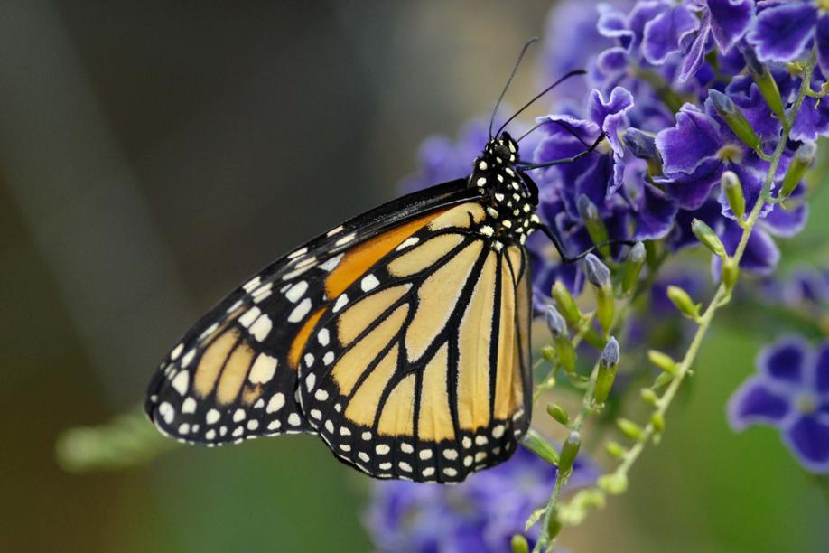 Boston's Museum of Science is among the top 10 science museums in North ...