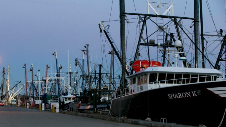 Massachusetts fishing magnate known as 'The Codfather' to plead guilty ...