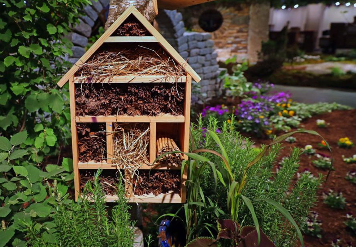 Flower Show Boston 2017 | Best Flower Site