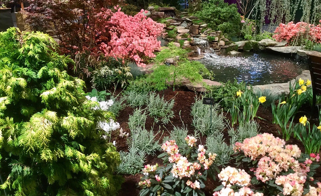 Flower Show Boston 2017 | Best Flower Site