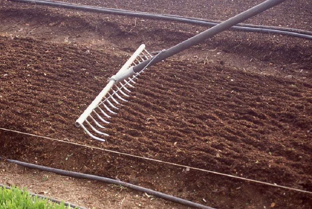 Tips for keeping your soil loose, your garden productive