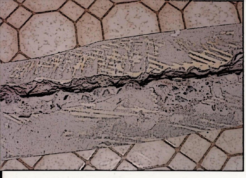 Our home was a cracked house