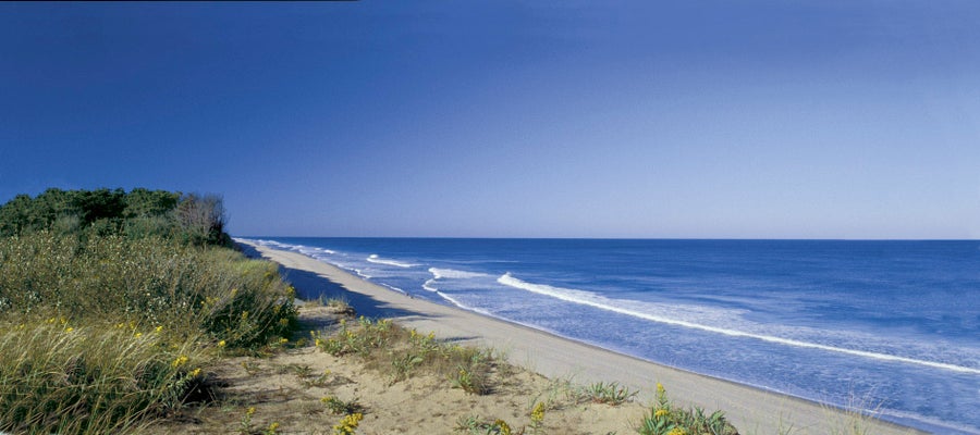 The ultimate guide to Massachusetts beaches