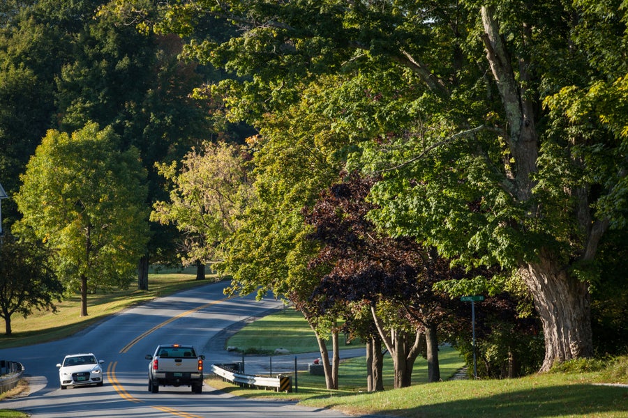 Lost Kitchen: 10,000 phone calls for a 40-seat restaurant