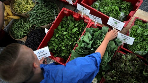 Thinking about visiting a pick-your-own farm? Here's what you need to know.