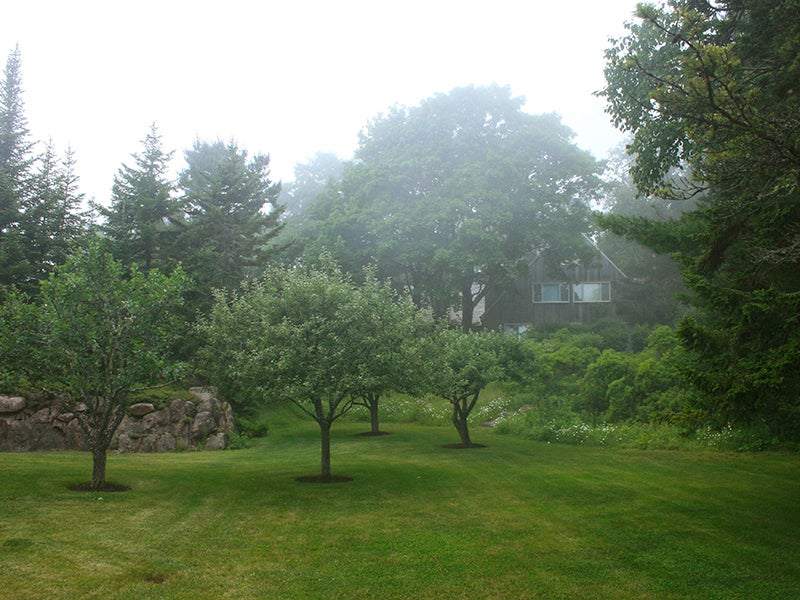 Luxury: Peek inside the $19 million Rockefeller estate near Acadia ...