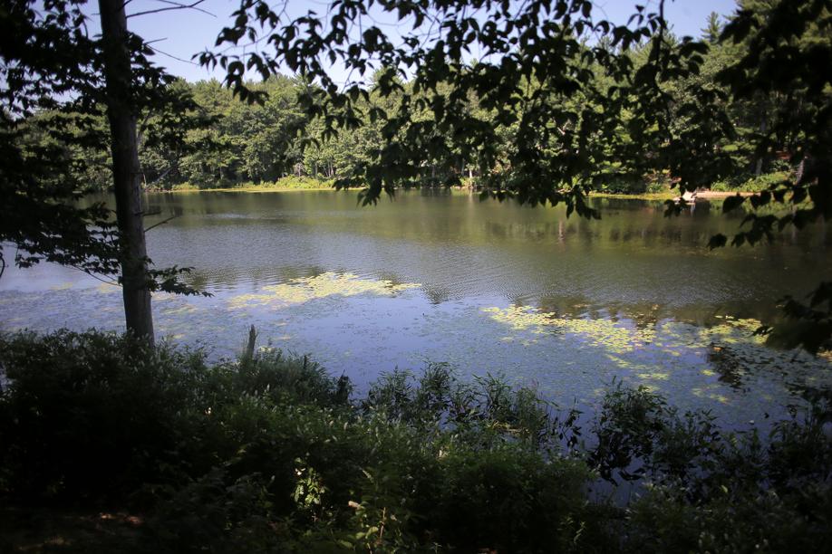 What is it like to live in Boxford?