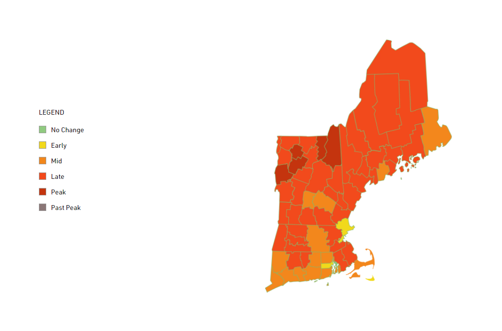 Here's a 2024 fall foliage map for all of New England