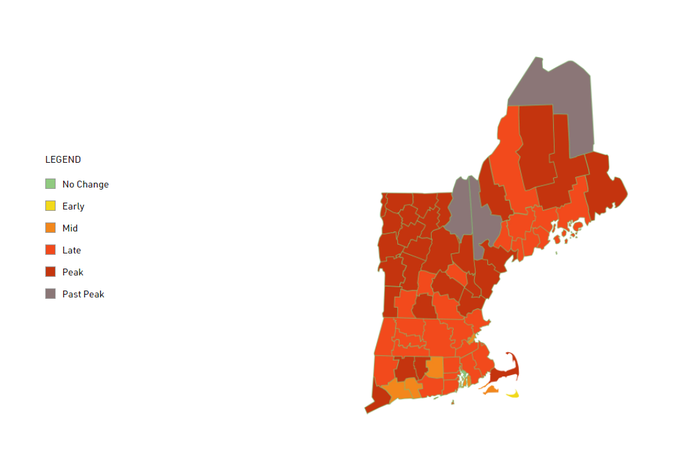 Here's a 2024 fall foliage map for all of New England